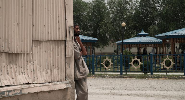 El flagelo de la droga en Afganistán: cómo trabaja la ONU para ayudar a combatirlo | Noticias ONU